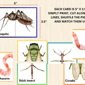 Insect Matching Activity, Insect Puzzles, Insect Symmetry, Bug Matching ...