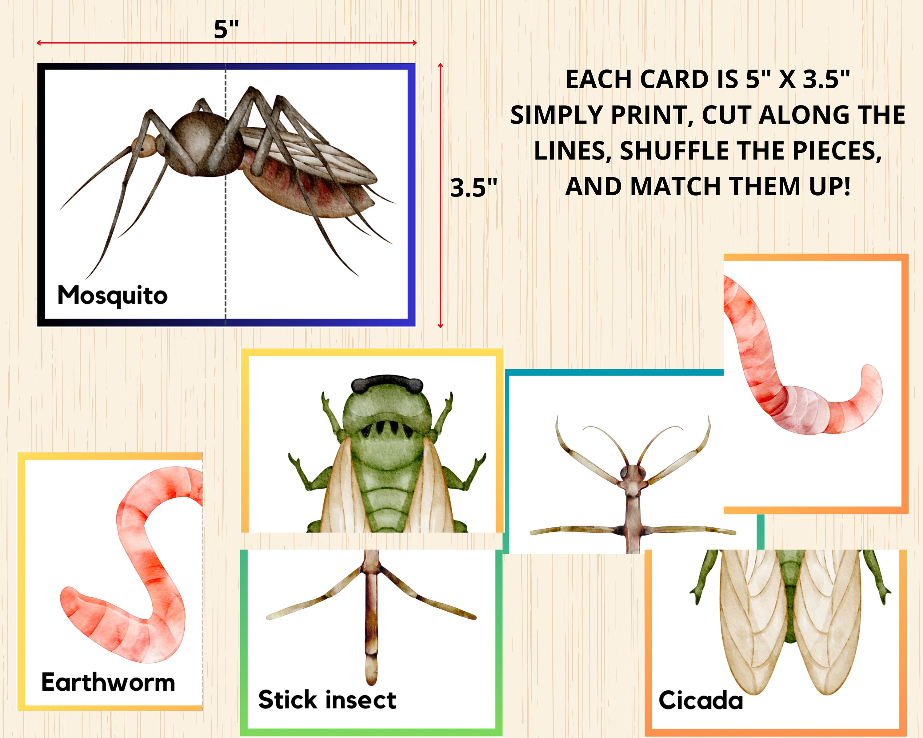 Insect Matching Activity, Insect Puzzles, Insect Symmetry, Bug Matching ...