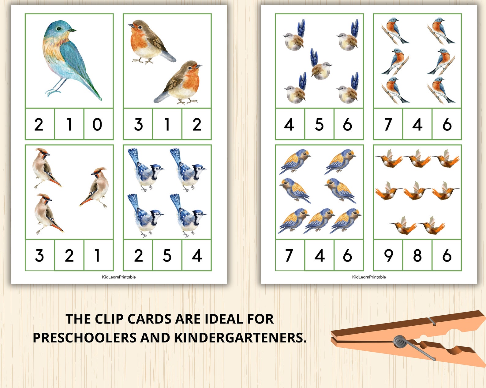 Birds Count and Clip Cards,numbers 1-20, Birds Flashcards,bird Activity ...