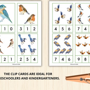Birds Count and Clip Cards,numbers 1-20, Birds Flashcards,bird Activity ...