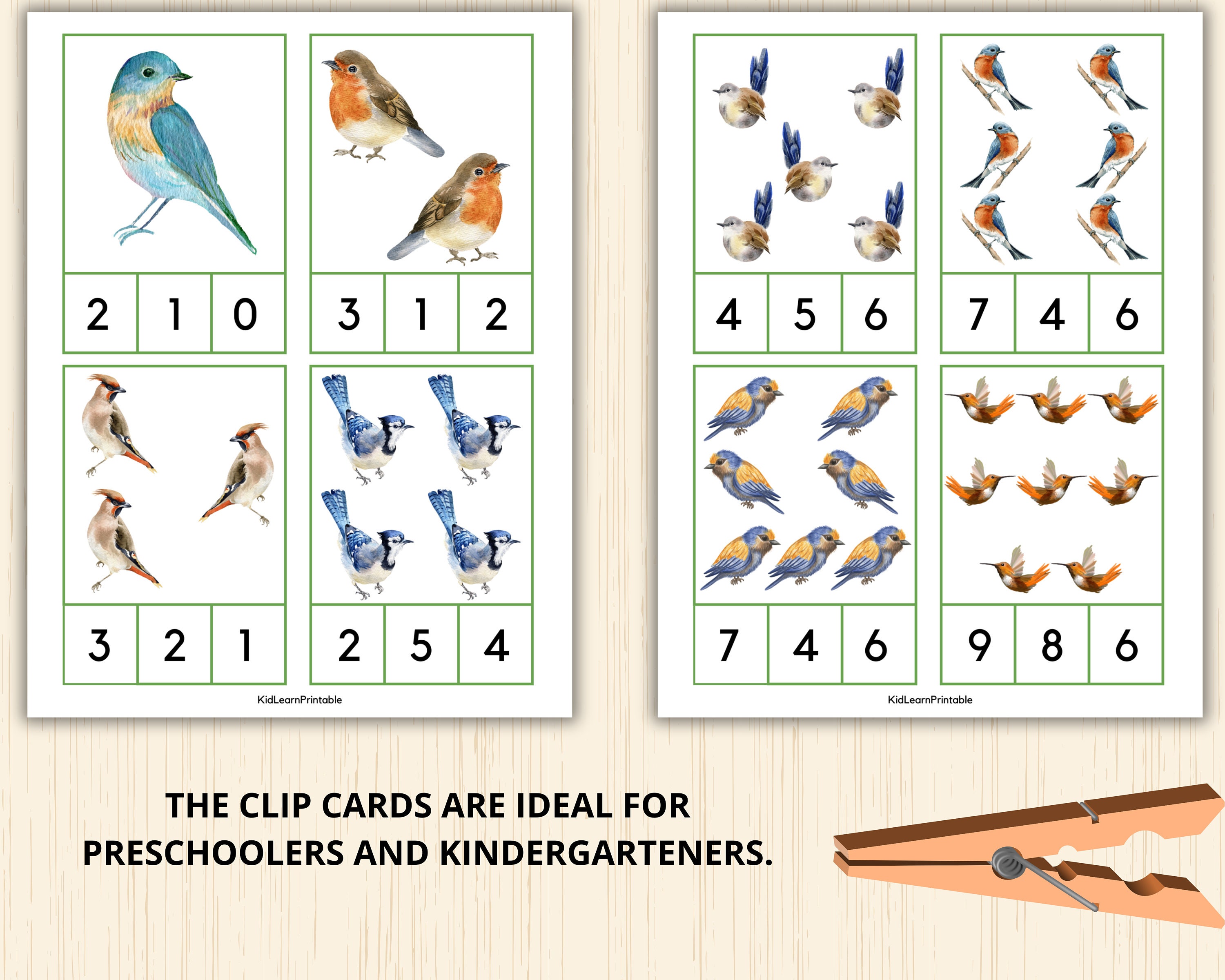 Birds Count and Clip Cards,numbers 1-20, Birds Flashcards,bird Activity ...