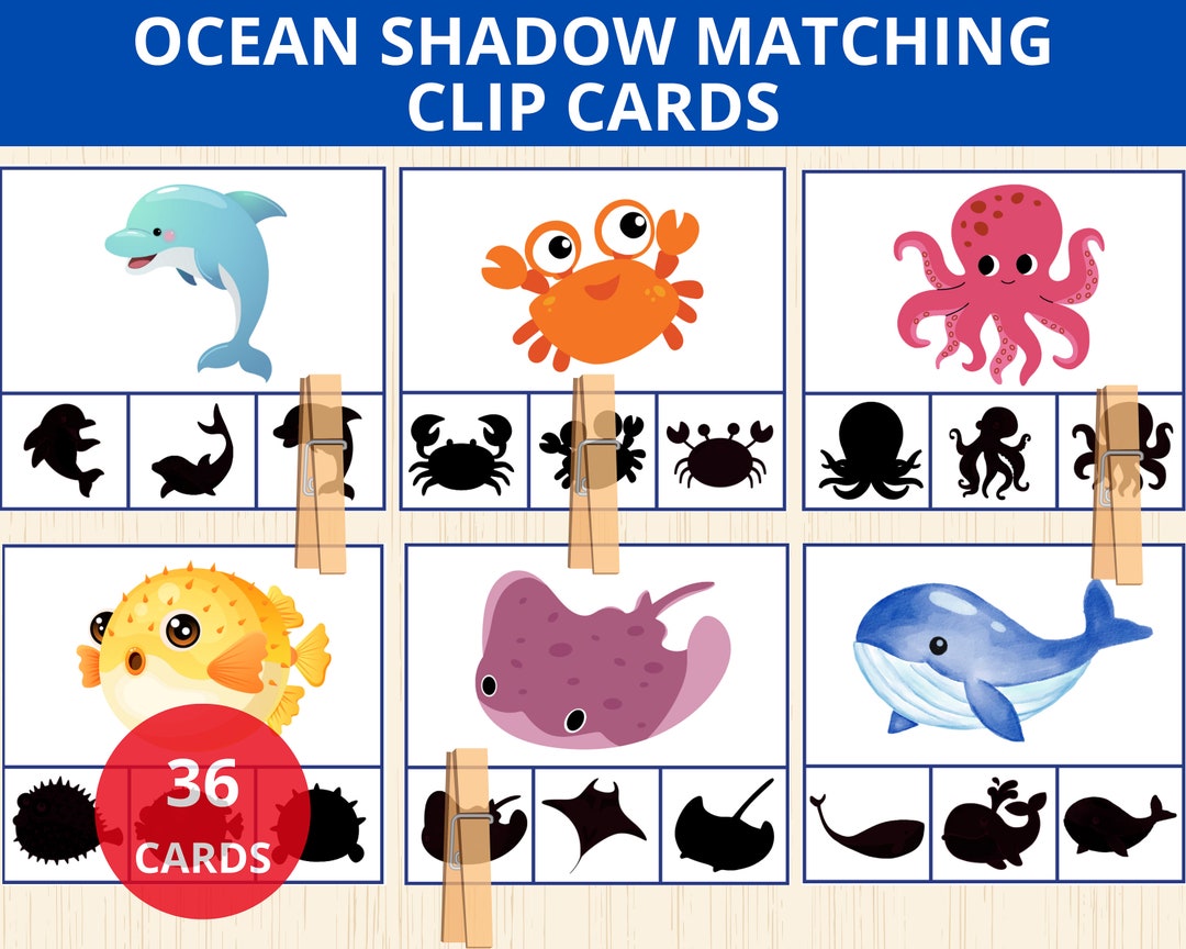 Ocean Animals Shadow Clip Cards,silhouette Matching,summer Matching ...
