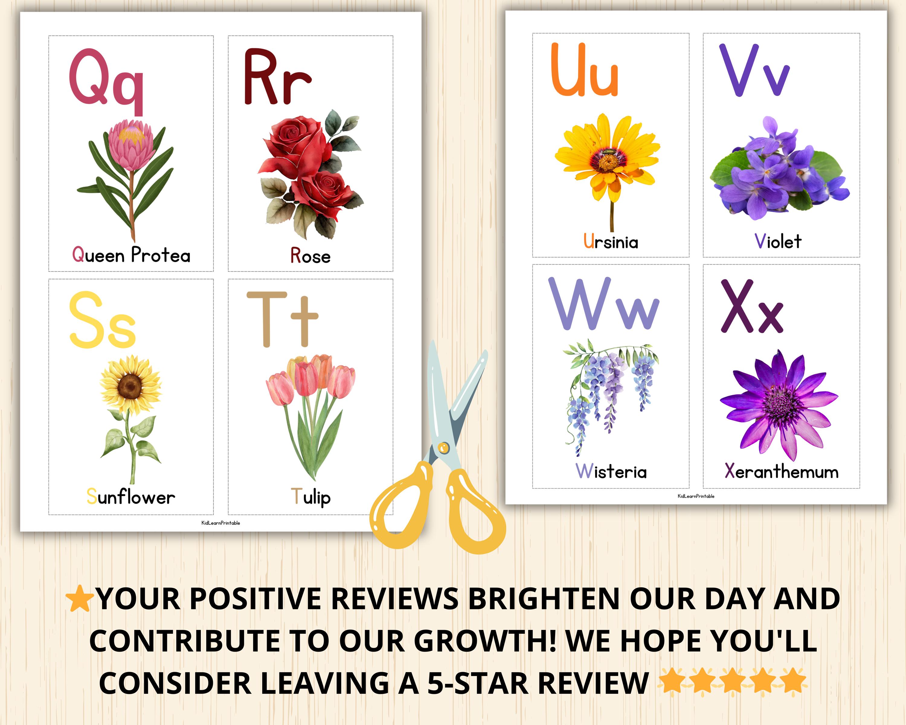 Flower Alphabet,flower Flashcards,flower Identification Cards,abc ...