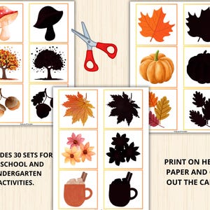 Autumn Shadow Matching Game,fall Montessori,fall Activity Preschool ...