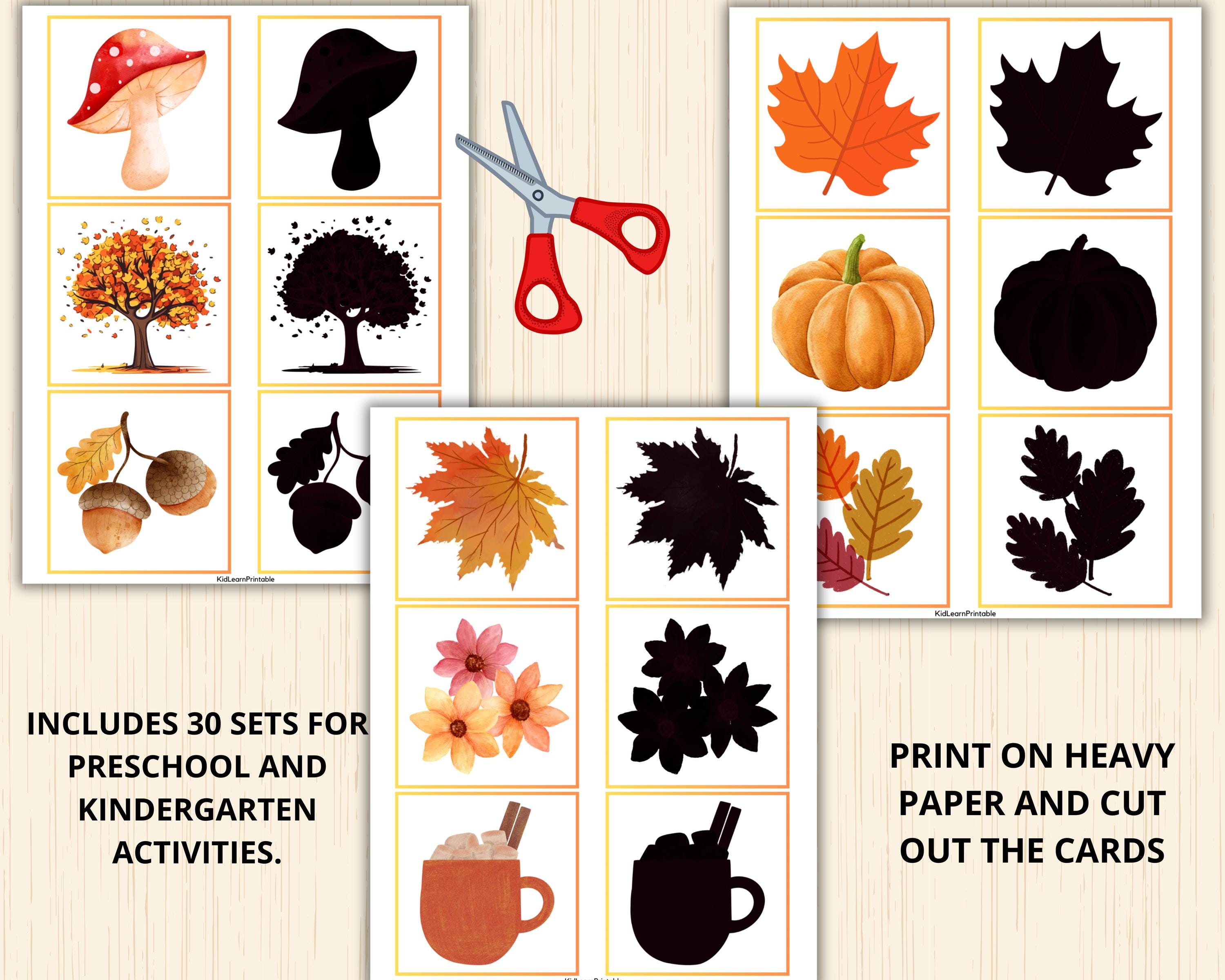 Autumn Shadow Matching Game,fall Montessori,fall Activity Preschool ...