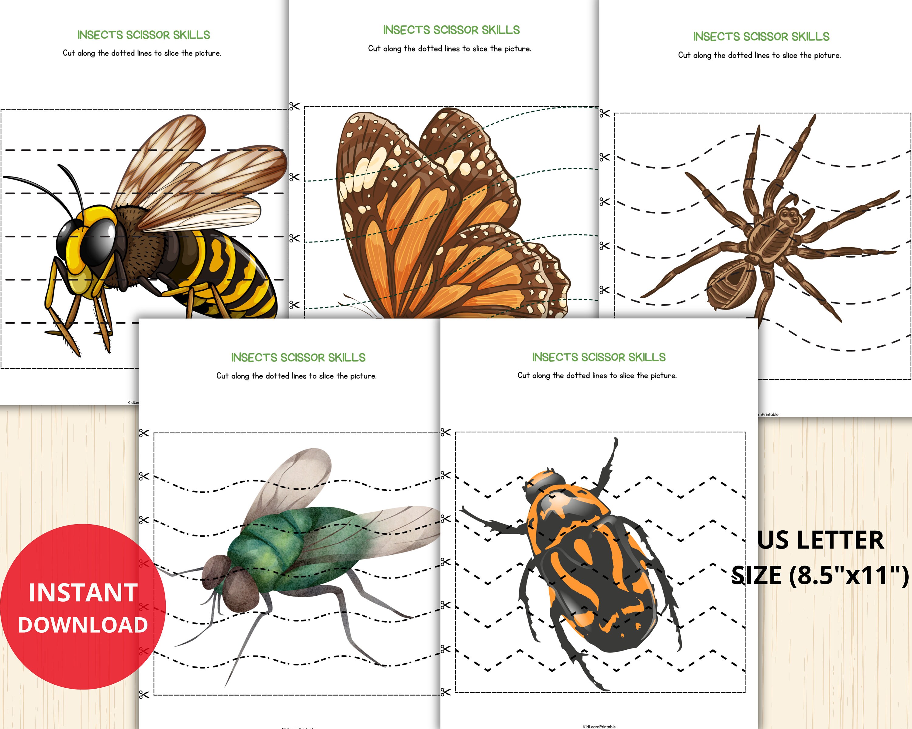 Spring Cutting Practice,insect Scissor Strips, Scissor Skills Practice ...