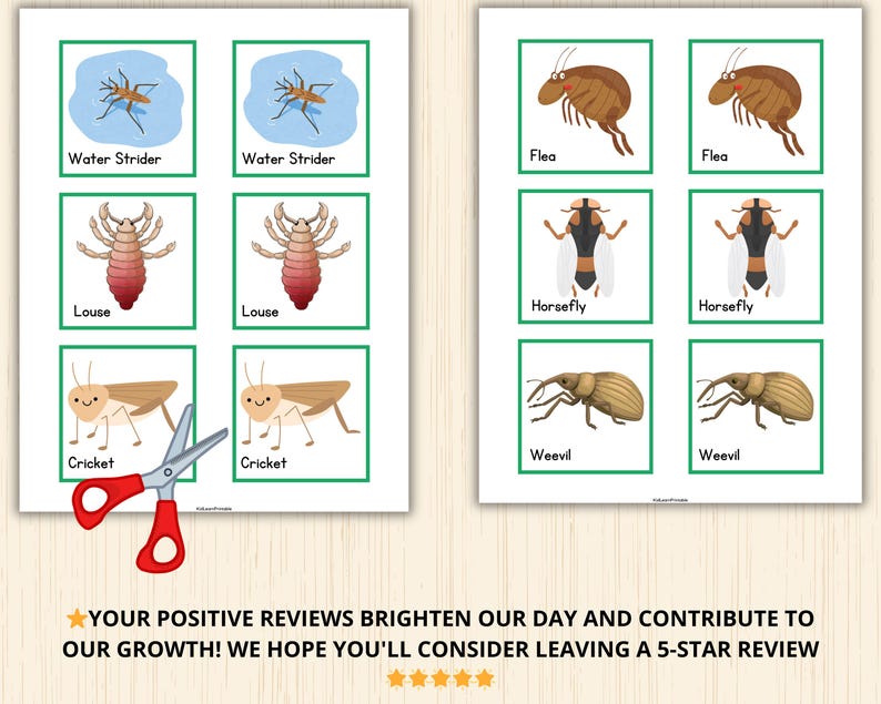 Bug Memory Game,insect Matching Game,bug Memory Cards,montessori Bugs ...
