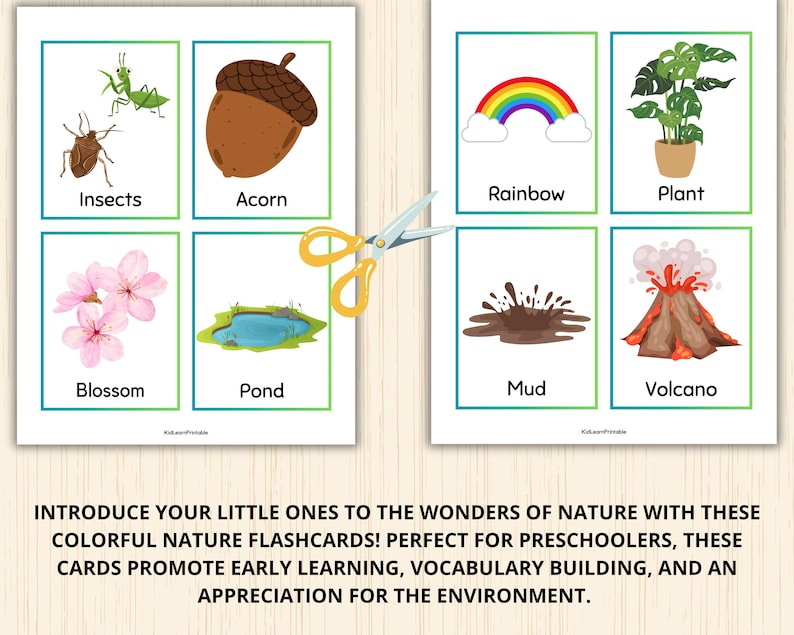 Nature Flashcards,nature Vocabulary,spring Flashcard,nature ...