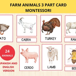 Farm Animals Montessori 3 Part Cards, Montessori Flash Cards, Farm ...