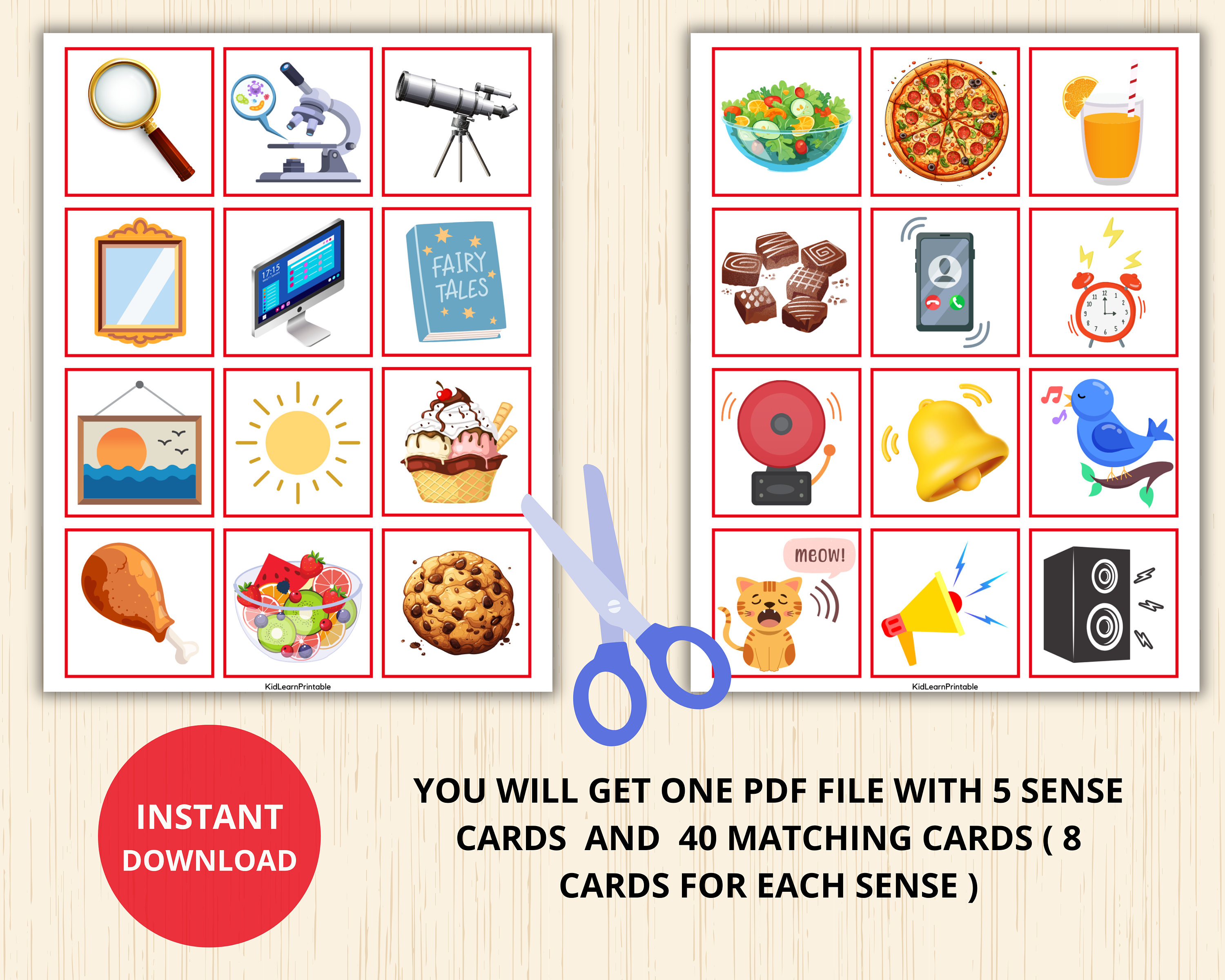 Five Senses Sorting Activity, 5 Sense Activities,5 Senses ...