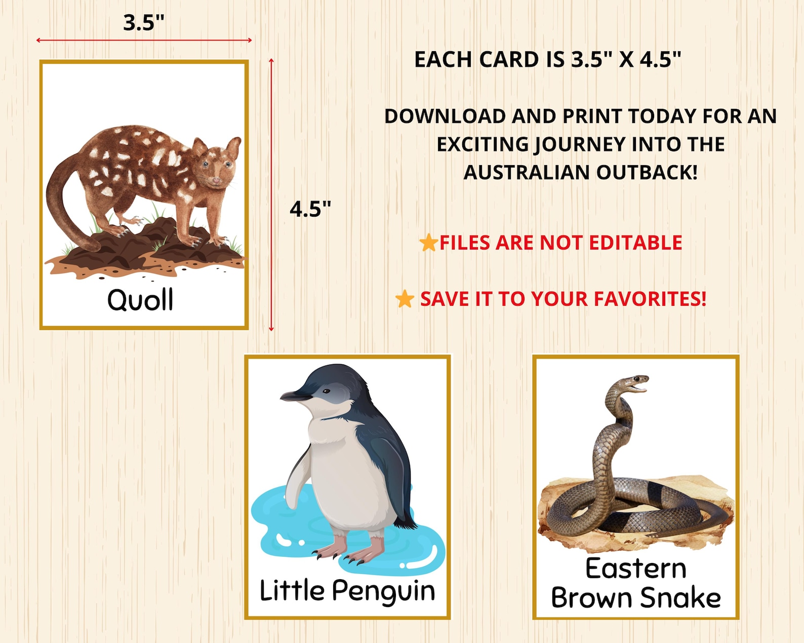 Australian Animal Flashcards,australia Flash Cards,australia Montessori ...