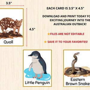 Australian Animal Flashcards,australia Flash Cards,australia Montessori ...