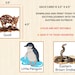 Australian Animal Flashcards,australia Flash Cards,australia Montessori ...