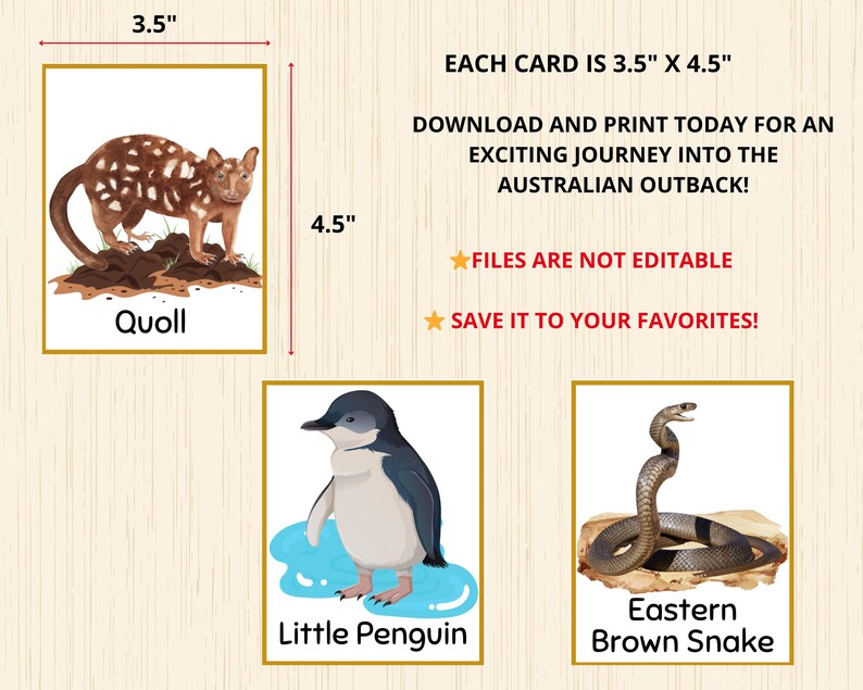 Australian Animal Flashcards,australia Flash Cards,australia Montessori ...