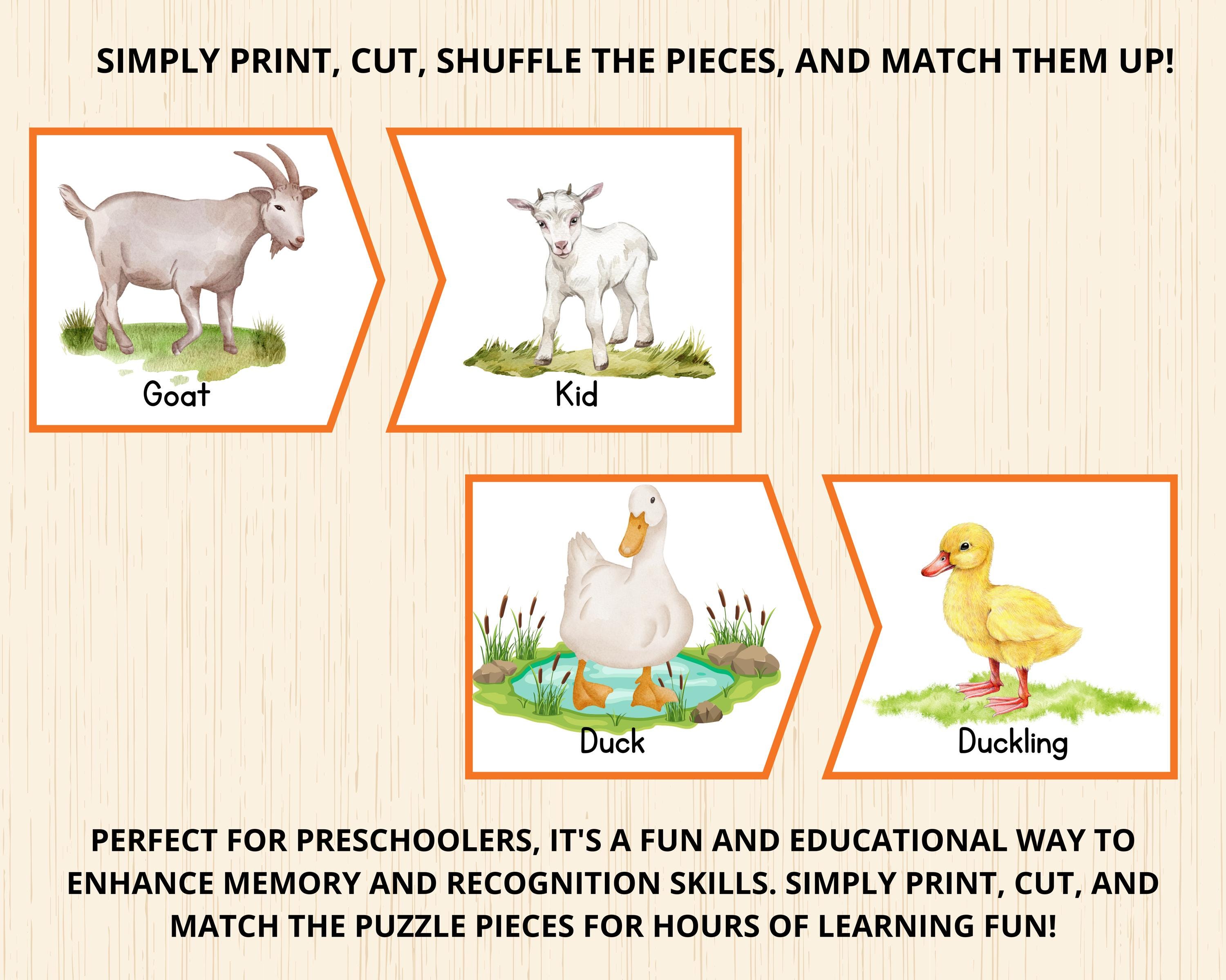 Mother and Baby Farm Animal Matching Card,montessori Farm Unit,farm ...