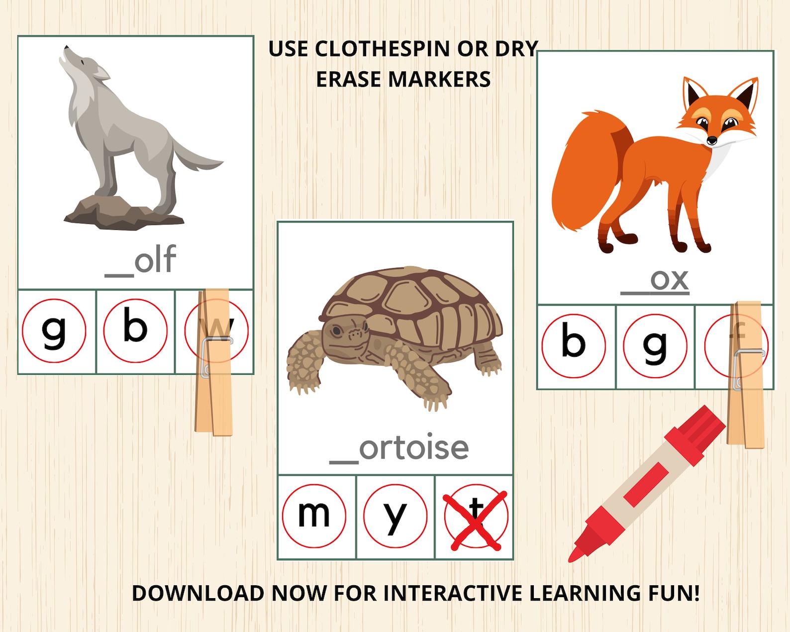 Zoo Animals Beginning Sounds,zoo Montessori,animals Preschool,preschool ...