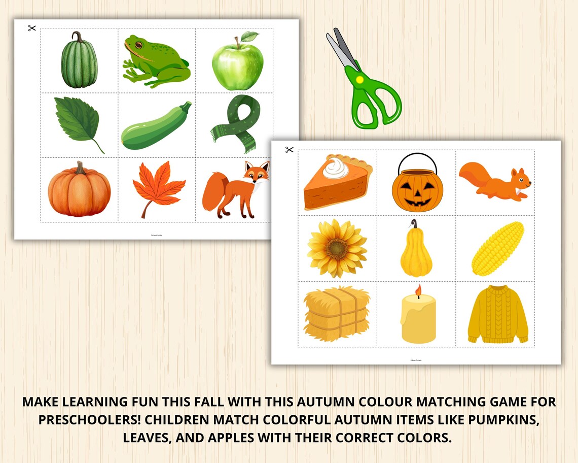 Autumn Colour Matching,fall Color Sorting,autumn Colour Match,color ...
