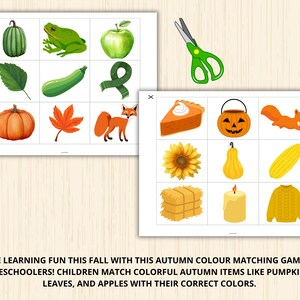 Autumn Colour Matching,fall Color Sorting,autumn Colour Match,color ...