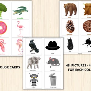 Color Sorting Activity,preschool Color Matching Game,montessori Color ...