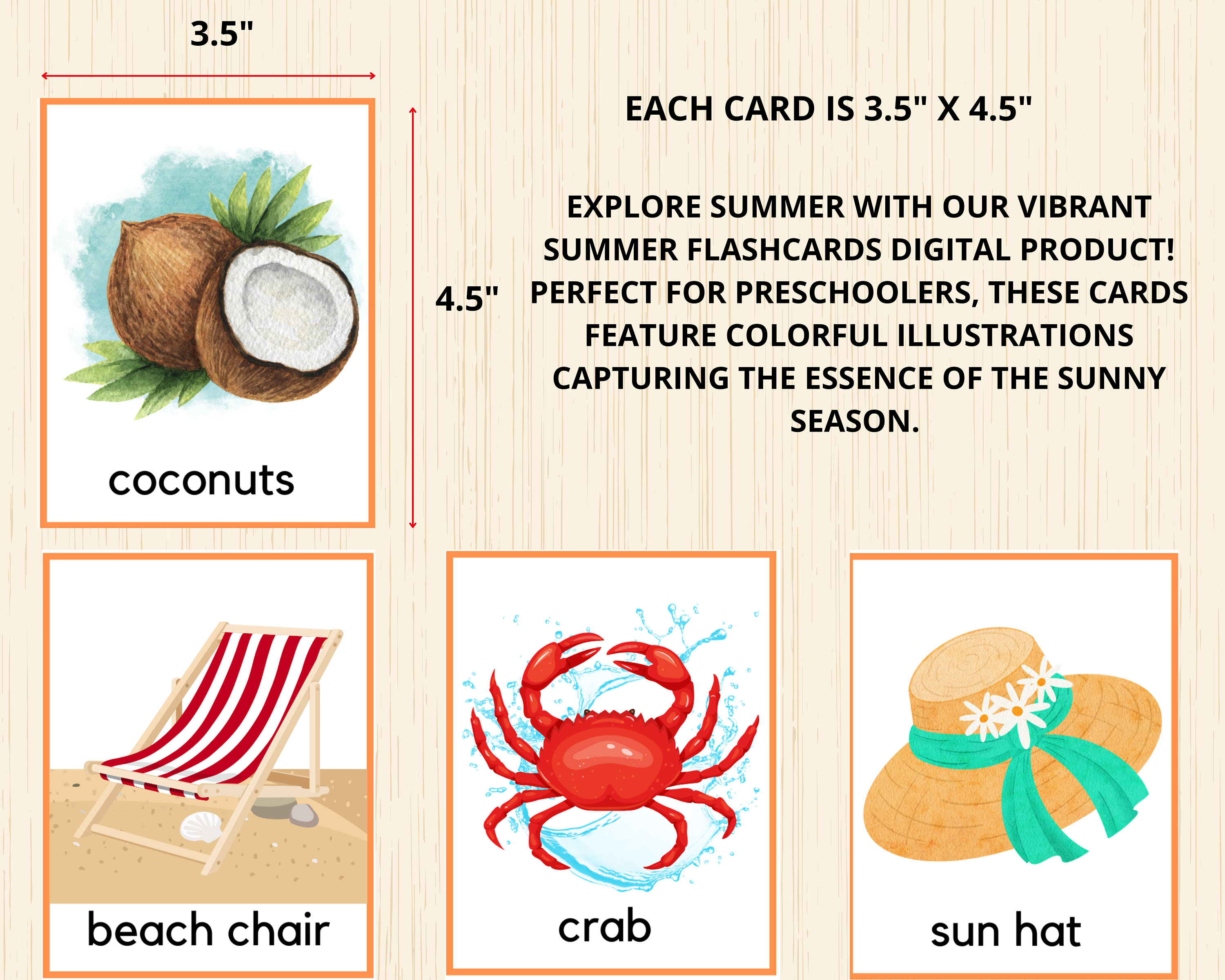 Summer Flashcards, Seasons Flashcard,beach Cards,summer Montessori ...