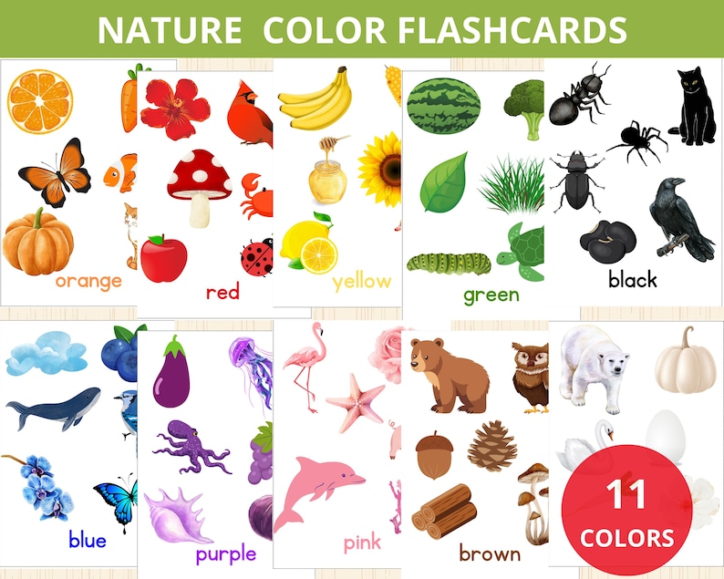 Colors in Nature Flashcards,nature Color Flashcards,montessori Colors ...