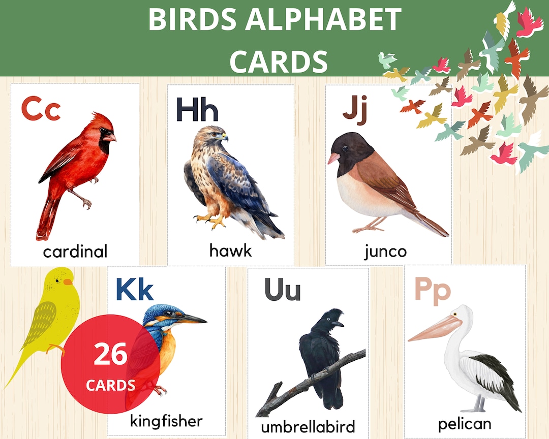 Birds Flashcards, Birds Alphabet Cards, Alphabet Flash Cards, Birds ...