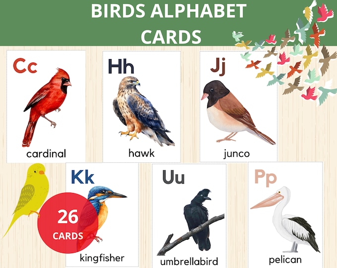 32 Birds Flashcards / Image Cards for Kids, Preschoolers. Nomenclature ...