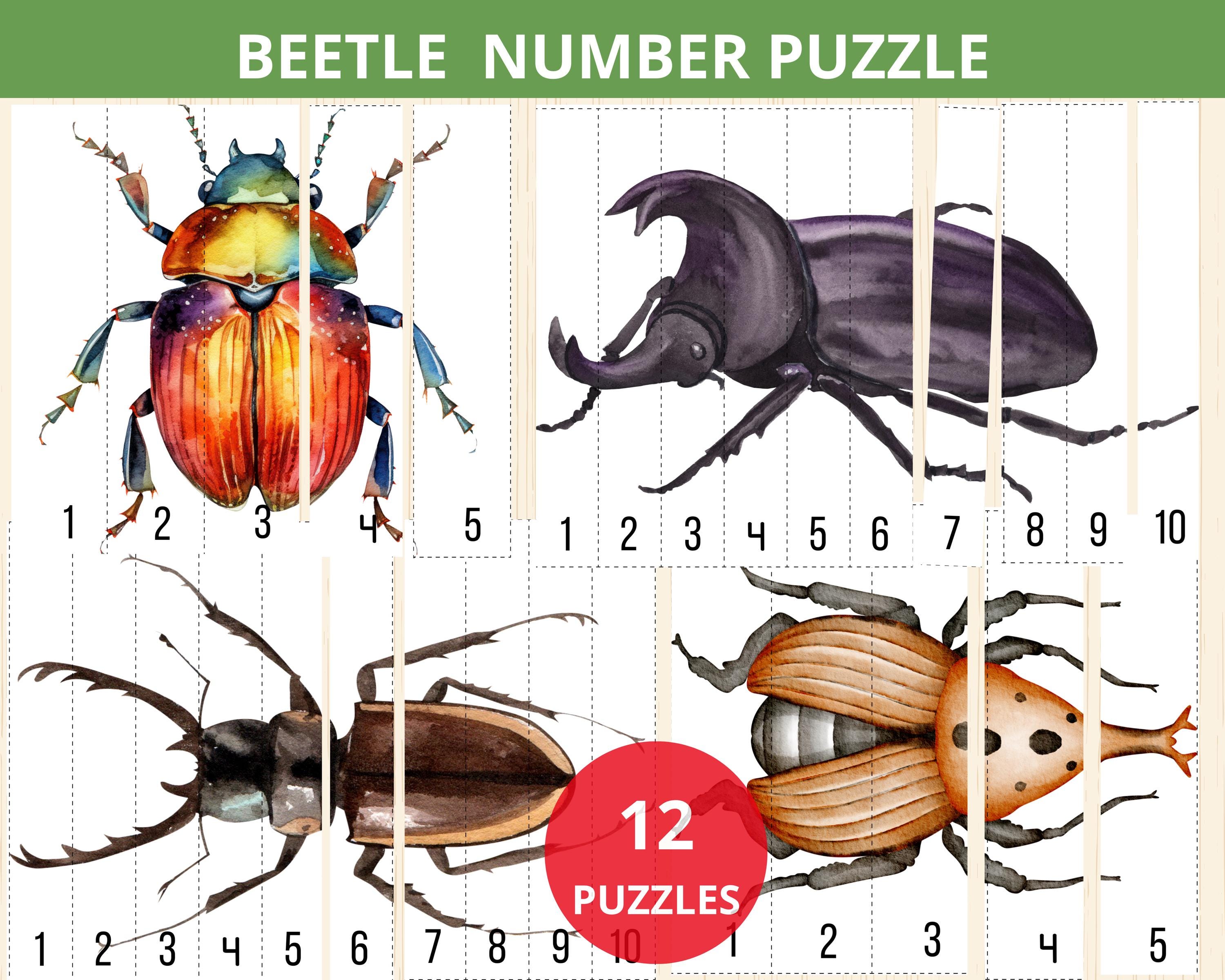 Beetle Number Puzzle,beetle Matching Activity,beetle Symmetry Puzzle ...