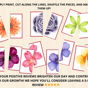 Flowers Symmetry Matching,flower Puzzle,flowers Unit Study,spring ...