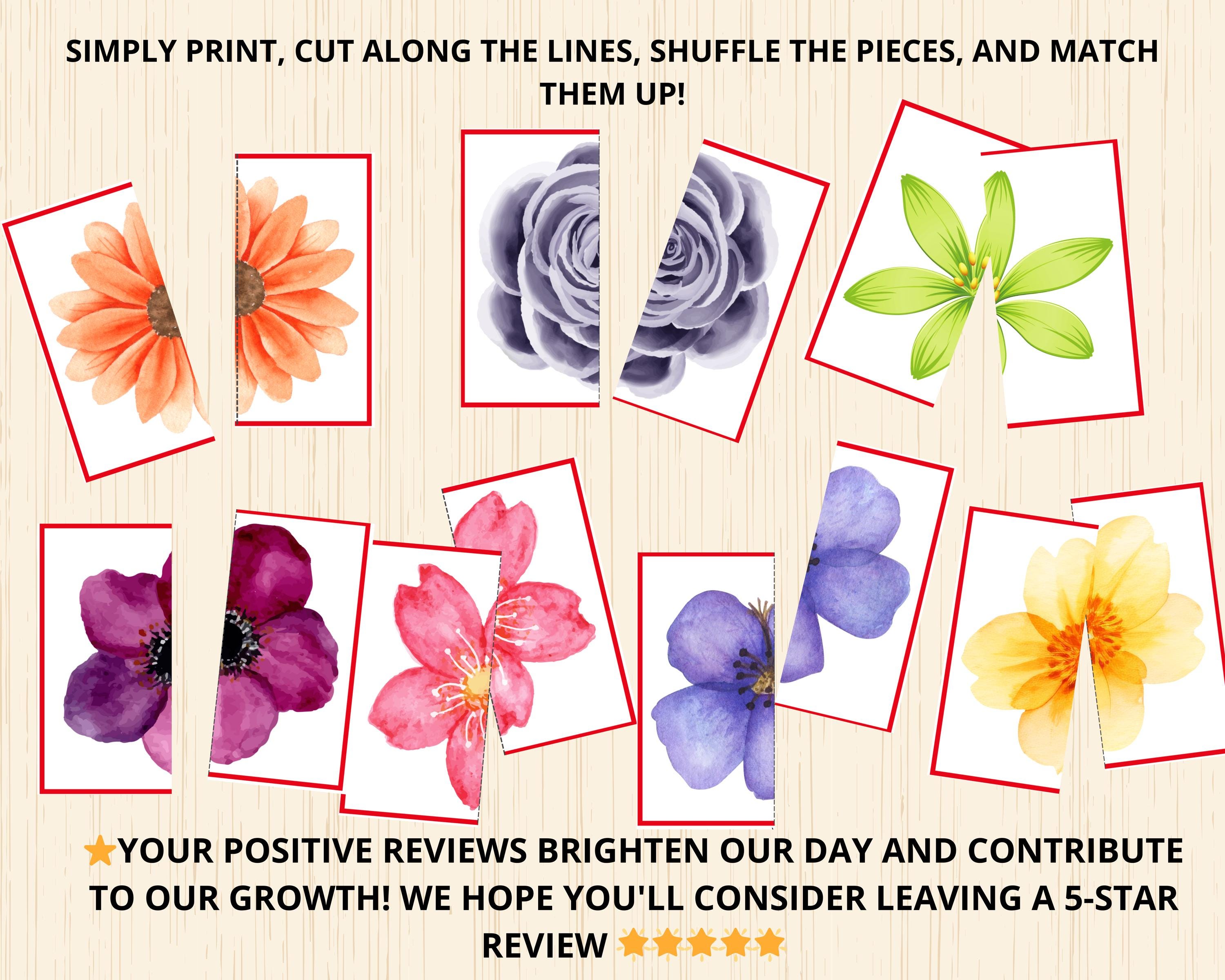Flowers Symmetry Matching,flower Puzzle,flowers Unit Study,spring ...