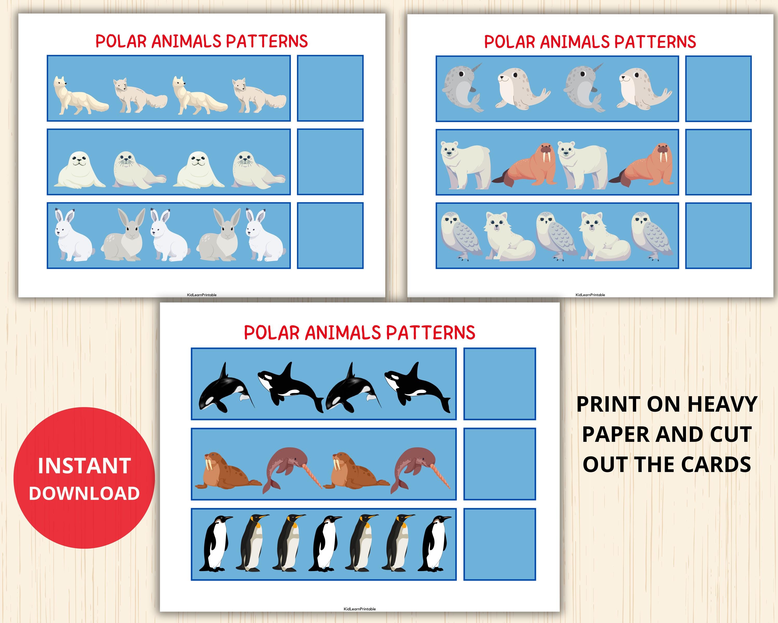 Polar Animals Patterns,ab AAB Patterns,what Comes Next,pattern Activity ...