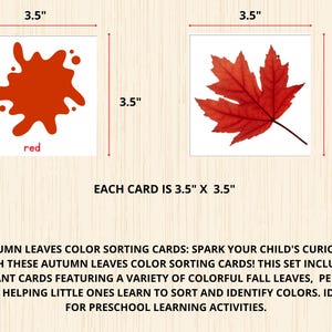 Autumn Color Sorting Activity,color Matching Game,autumn Leaves Colour ...