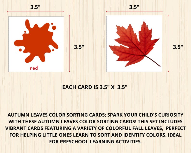 Autumn Color Sorting Activity,color Matching Game,autumn Leaves Colour ...