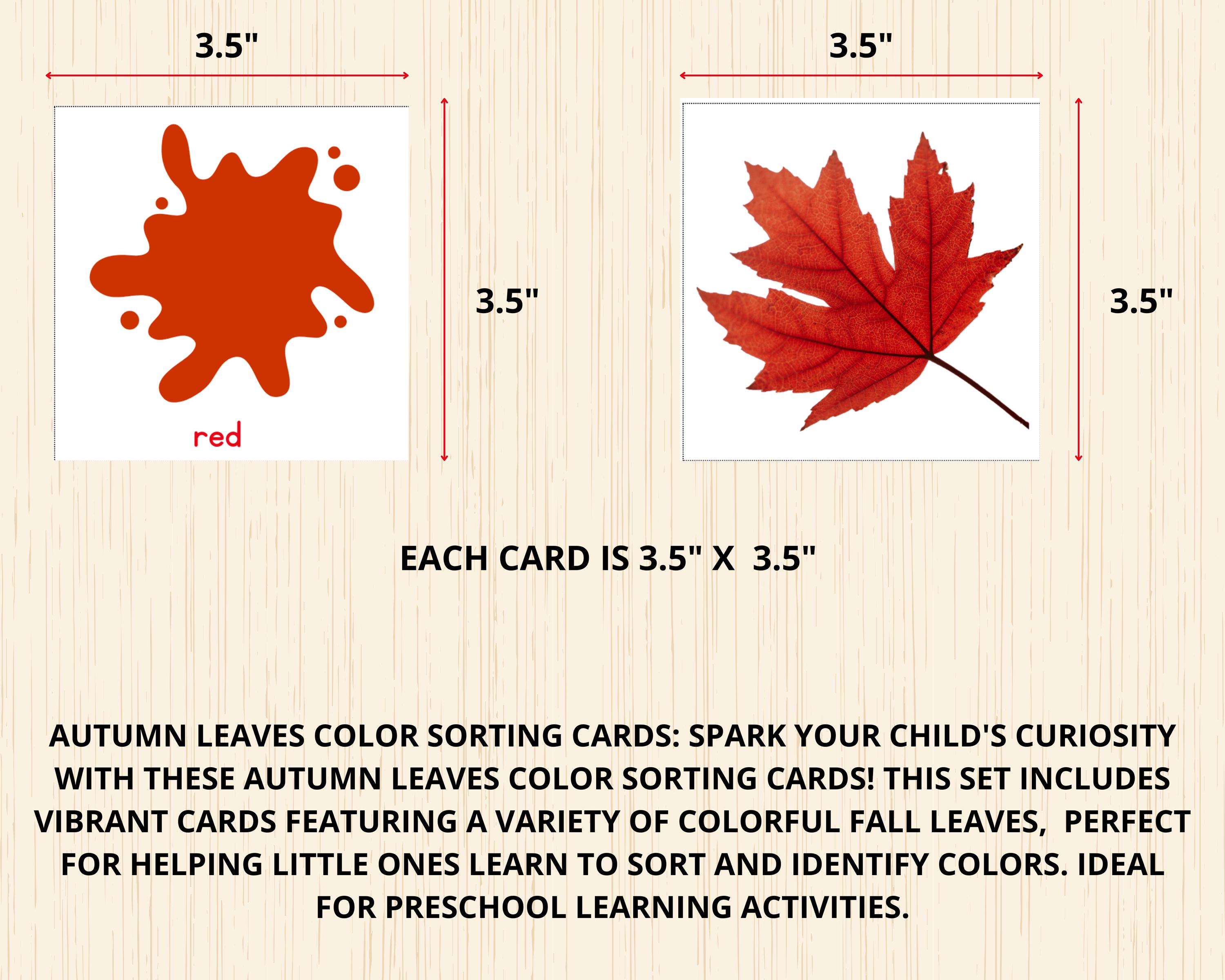 Autumn Color Sorting Activity,color Matching Game,autumn Leaves Colour ...