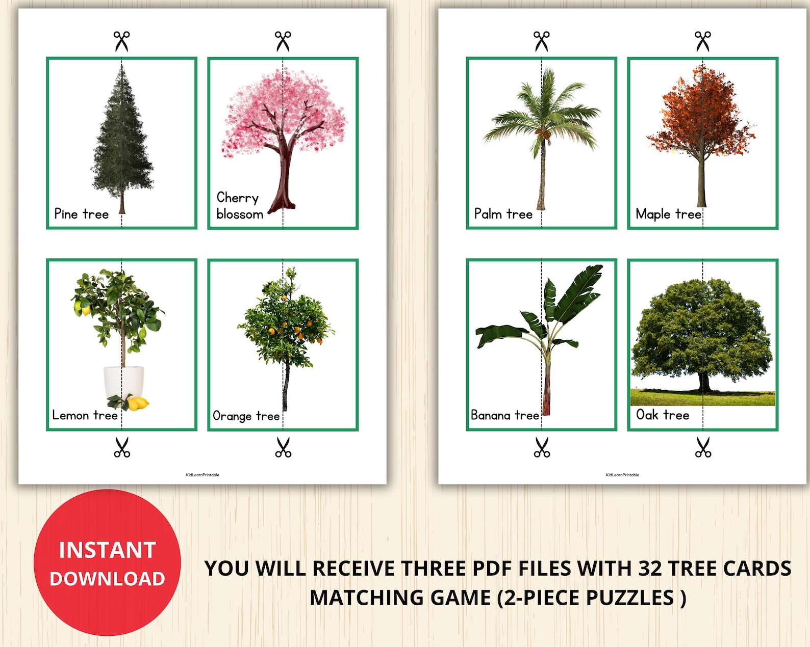 Tree Flashcards,tree Matching Cards,tree Real Pictures,tree Montessori ...