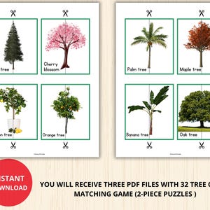 Tree Flashcards,tree Matching Cards,tree Real Pictures,tree Montessori ...