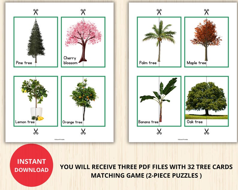 Tree Flashcards,tree Matching Cards,tree Real Pictures,tree Montessori ...