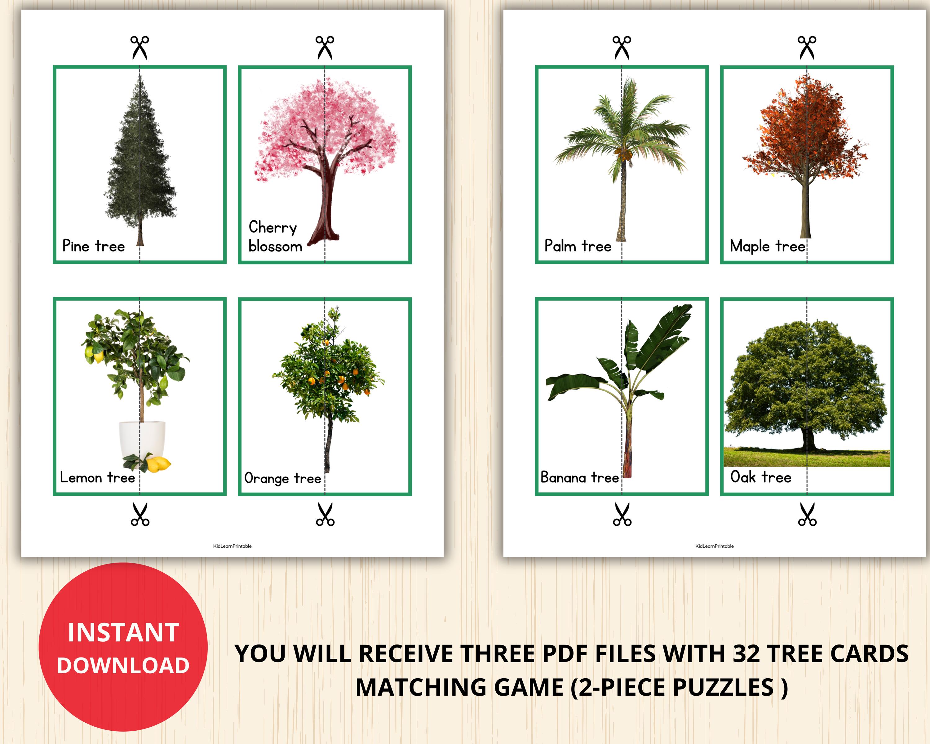 Tree Flashcards,tree Matching Cards,tree Real Pictures,tree Montessori ...