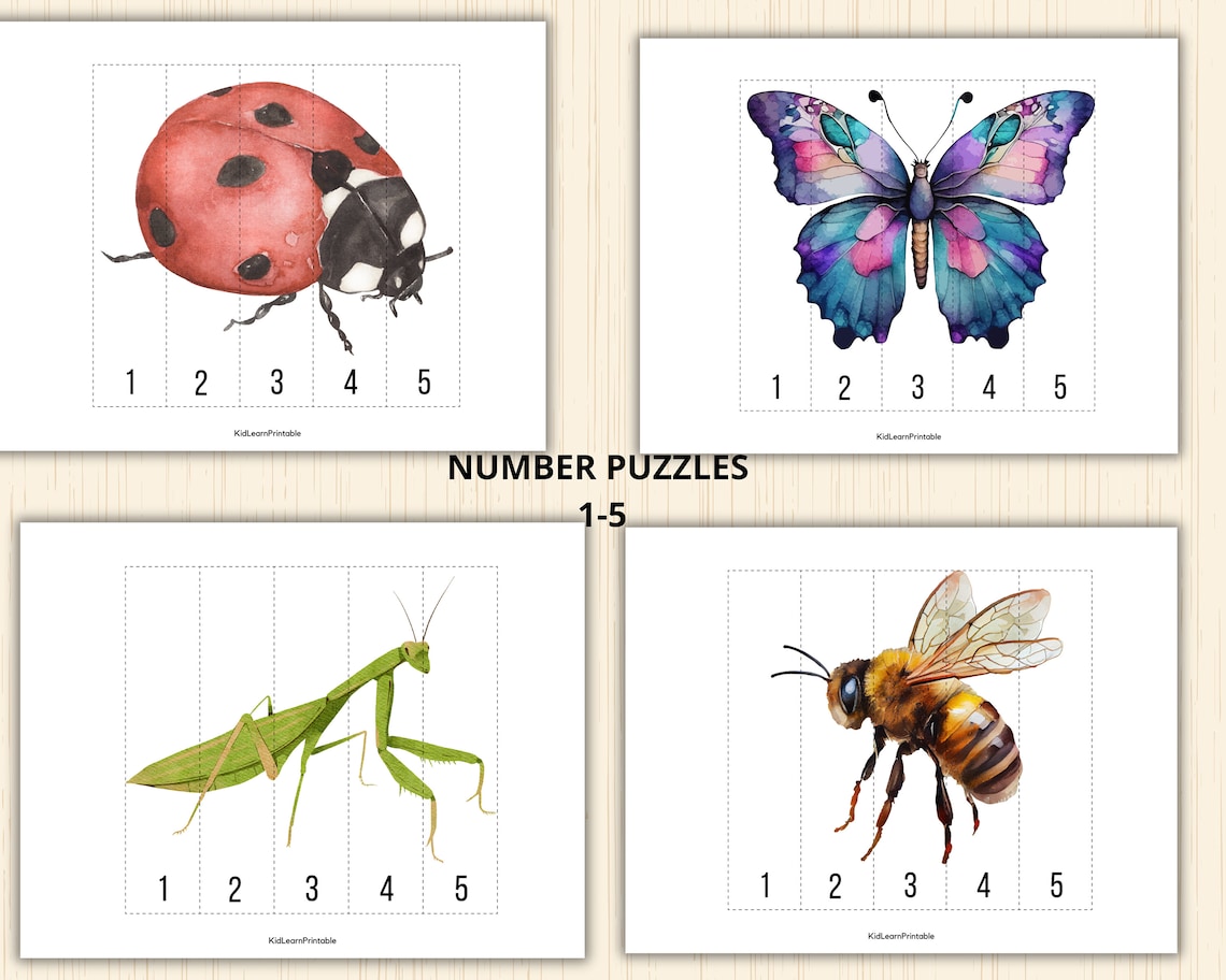 Insect Preschool,insect Number Puzzles,number Sequence,numbers 1-10 ...