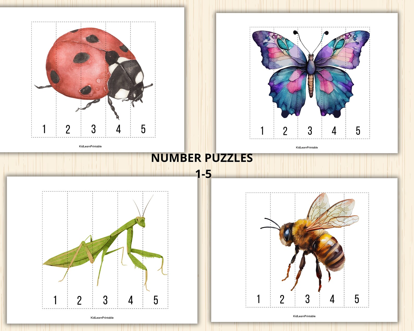 Insect Preschool,insect Number Puzzles,number Sequence,numbers 1-10 ...