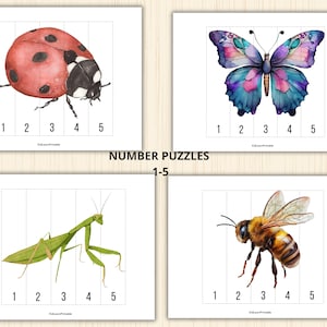 Insect Preschool,insect Number Puzzles,number Sequence,numbers 1-10 ...