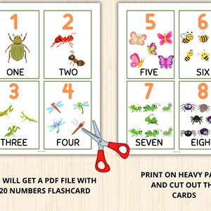 Bugs Number Flashcard,minibeast Number Cards,insect Preschool,nature ...