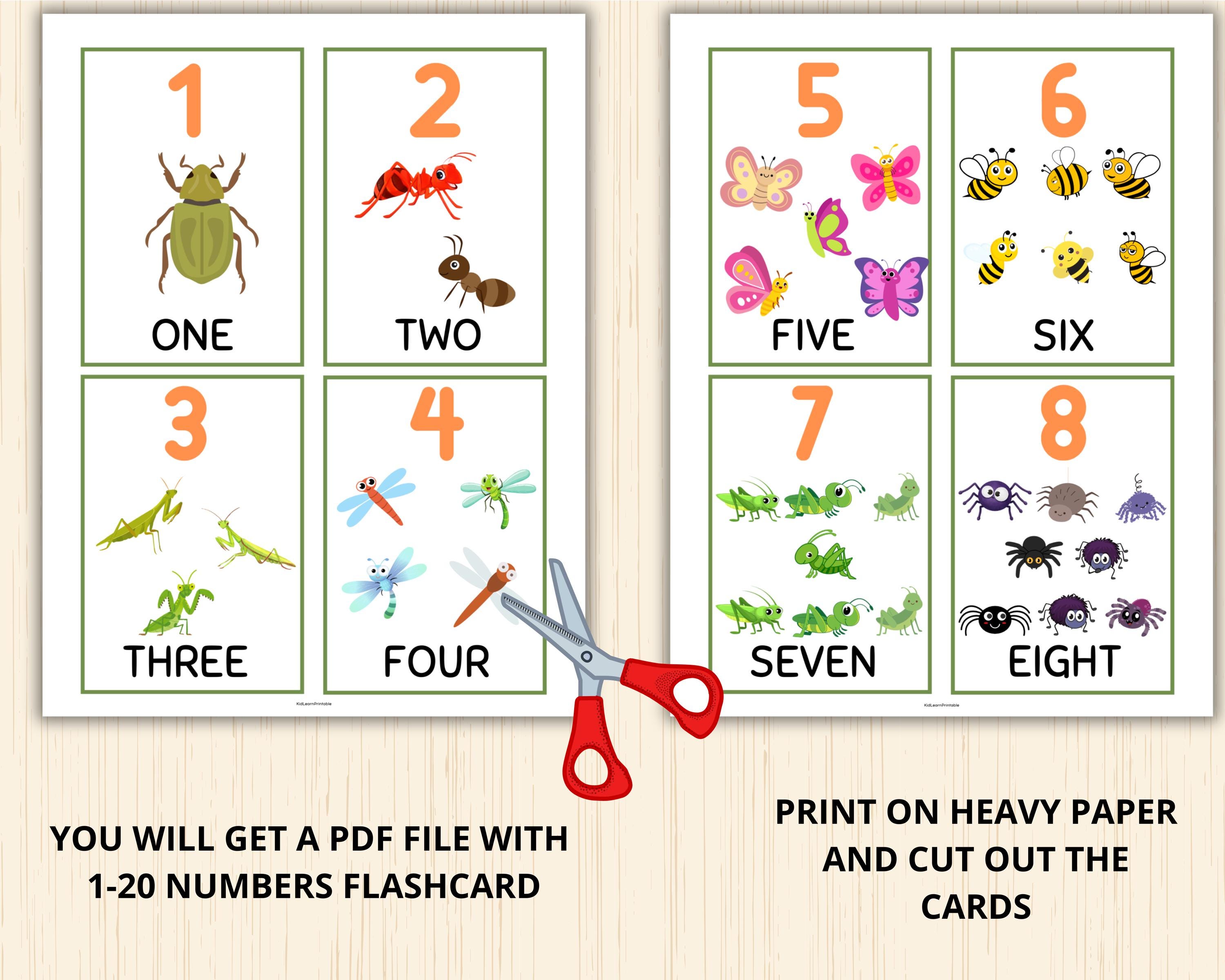 Bugs Number Flashcard,minibeast Number Cards,insect Preschool,nature ...