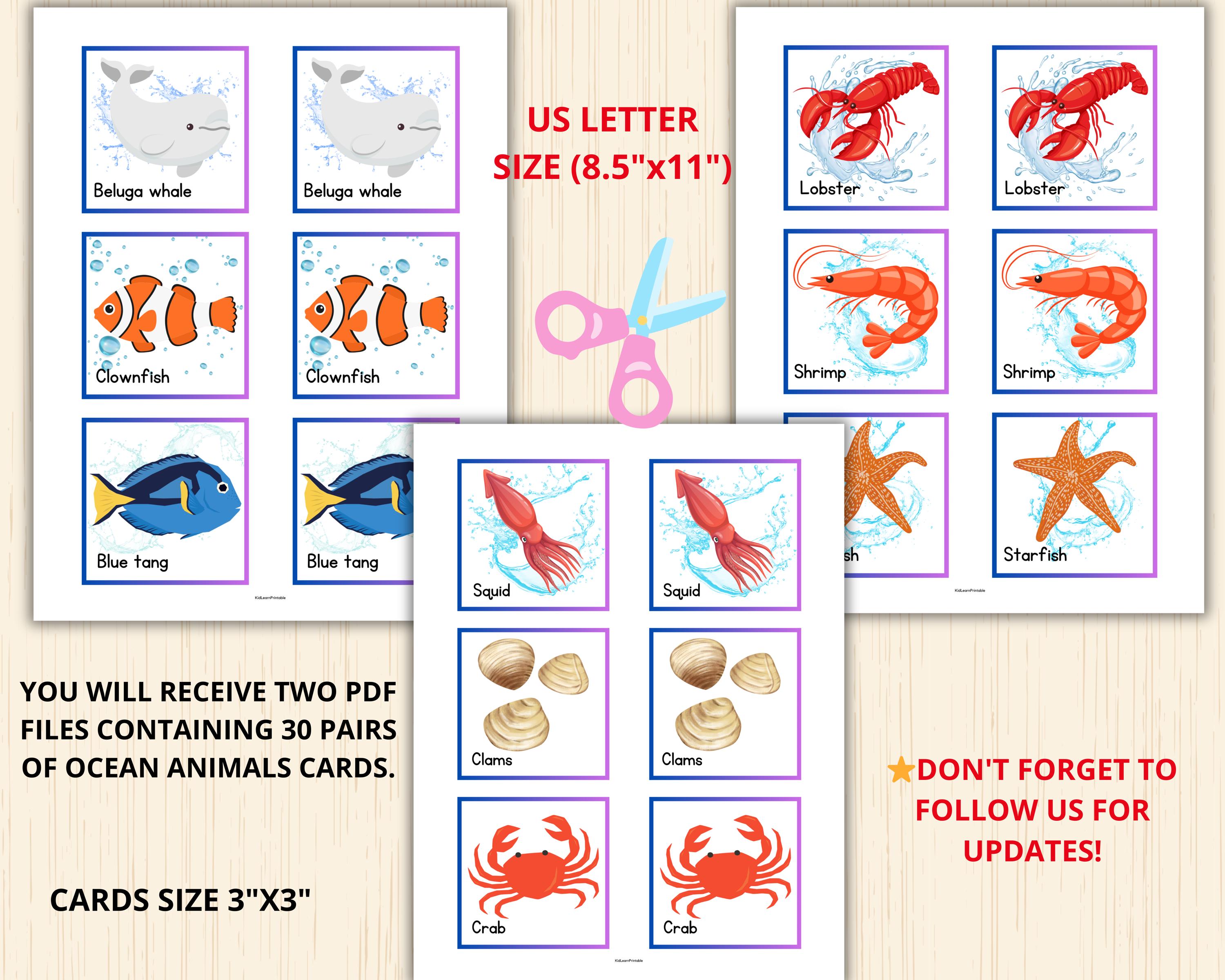 Ocean Animal Memory Game,ocean Matching Game,sea Animal Matching ...