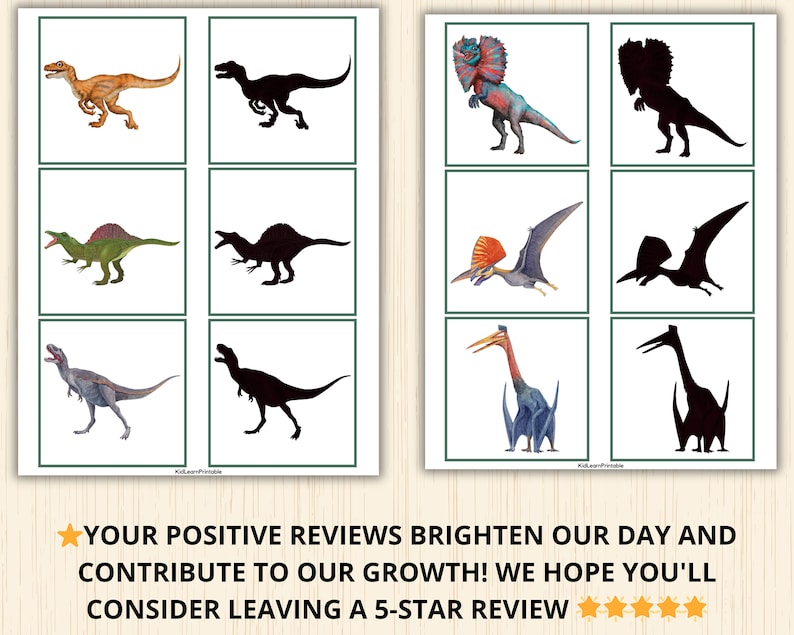 Dinosaur Shadow Matching Game,dinosaur Matching,dinosaur Montessori ...
