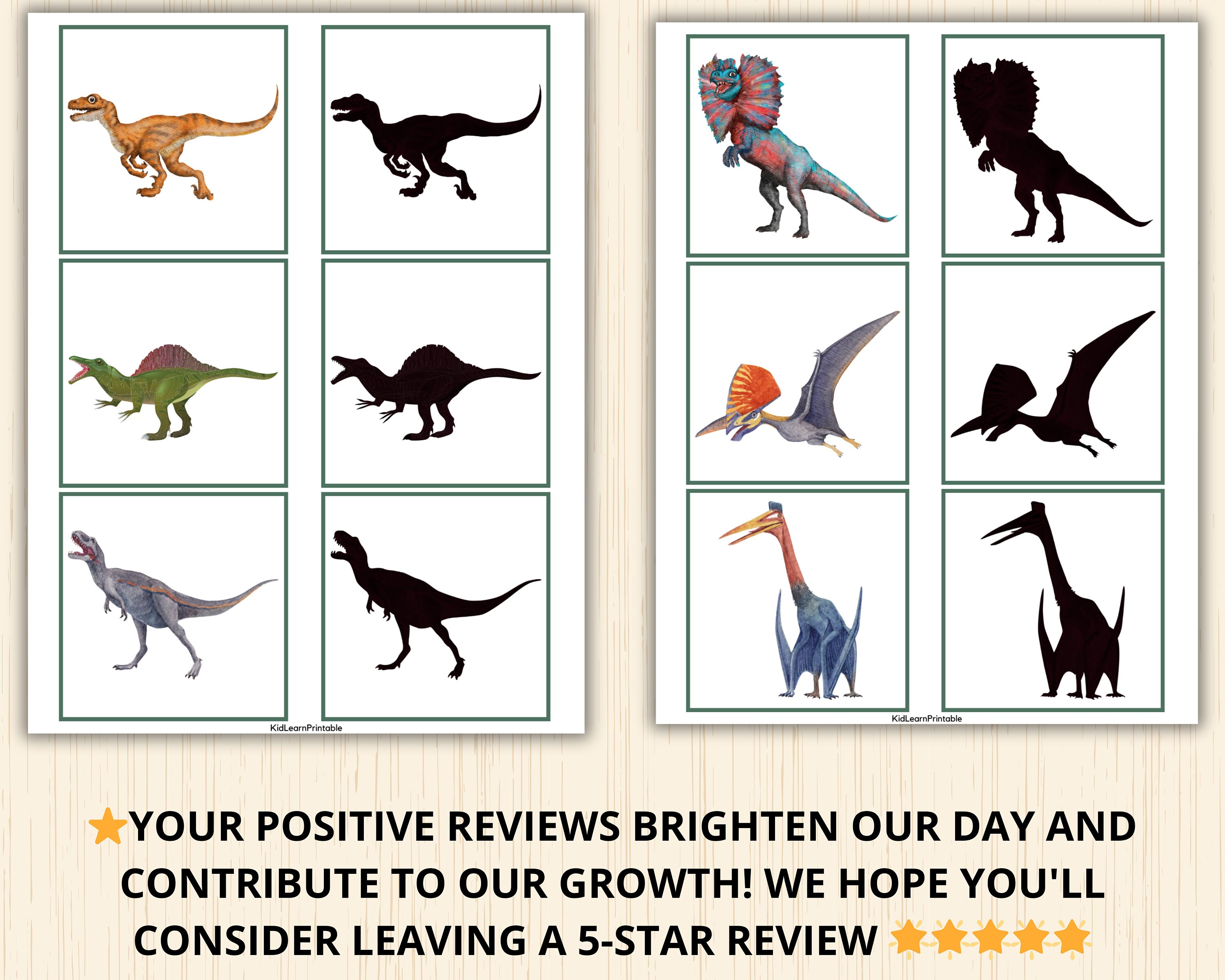 Dinosaur Shadow Matching Game,dinosaur Matching,dinosaur Montessori ...