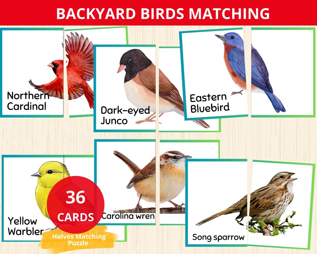 North American Backyard Birds,bird Matching Cards,birds Puzzle Pairs ...
