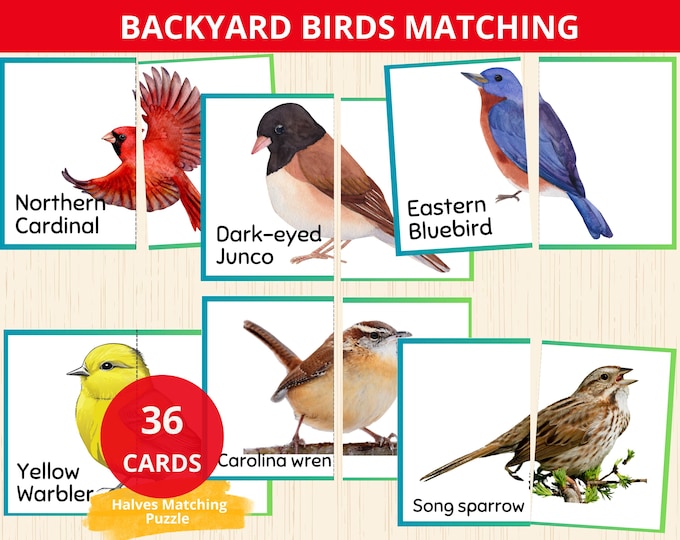 Montessori Wood Backyard Birds and Nests Matching Puzzle/ Homeschool ...