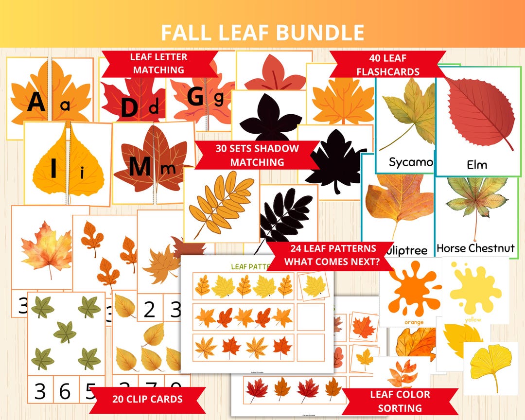 Autumn Leaf Activity Pack,leaves Unit Study,fall Unit Study Bundle,fall ...