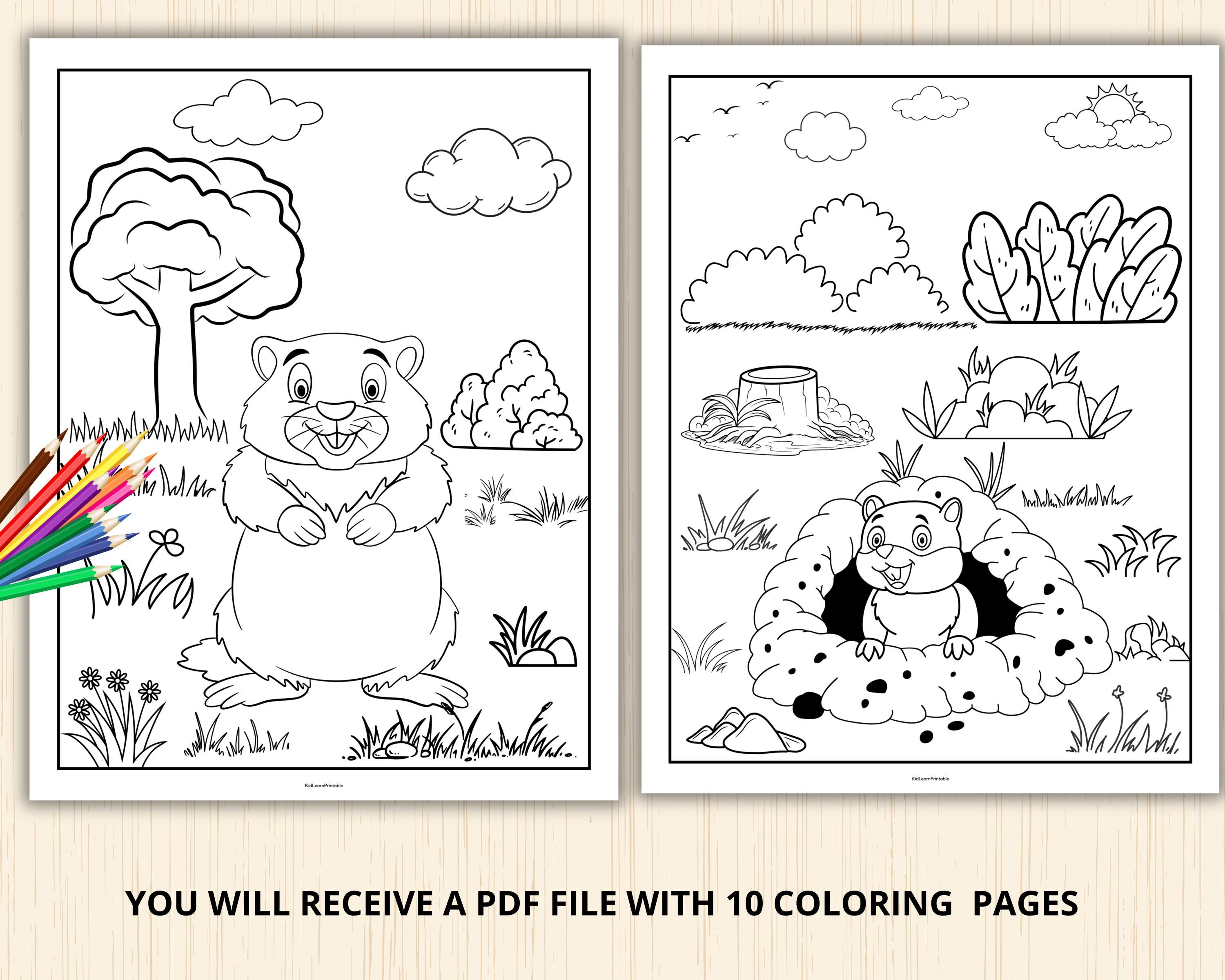 Groundhog Day Coloring Pages,groundhog Coloring Workesheets,groundhog ...